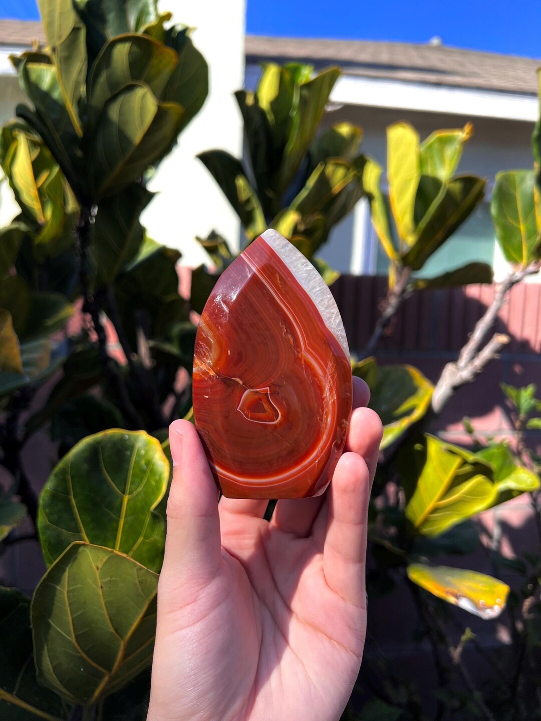 Red Sardonyx W/ Carnelian & Quartz Flames - High Grade (~0.5lbs) - Etsy