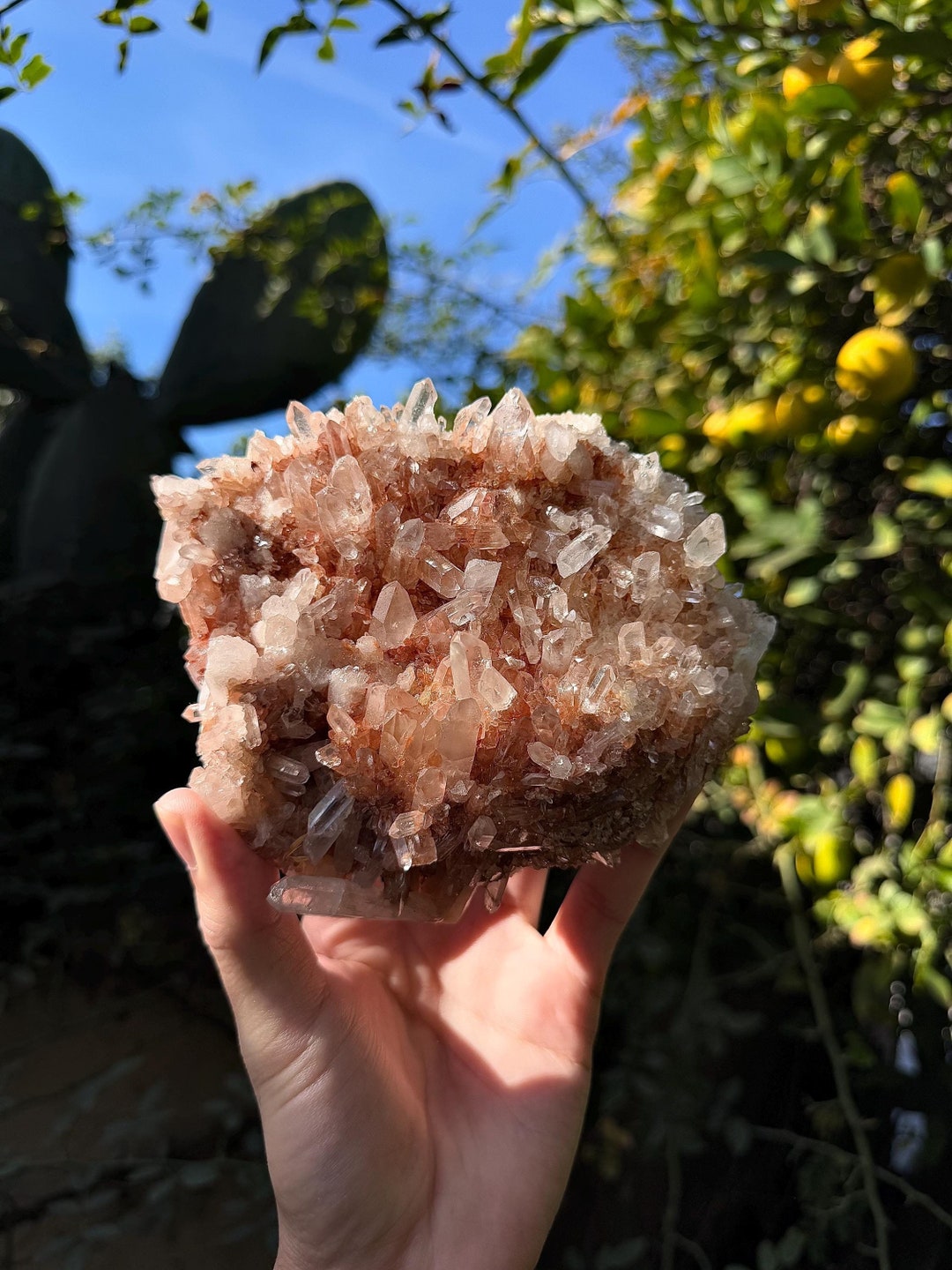 Fire Quartz Cluster W/ Lemurian Etchings - High Grade (2.3lbs) - Etsy