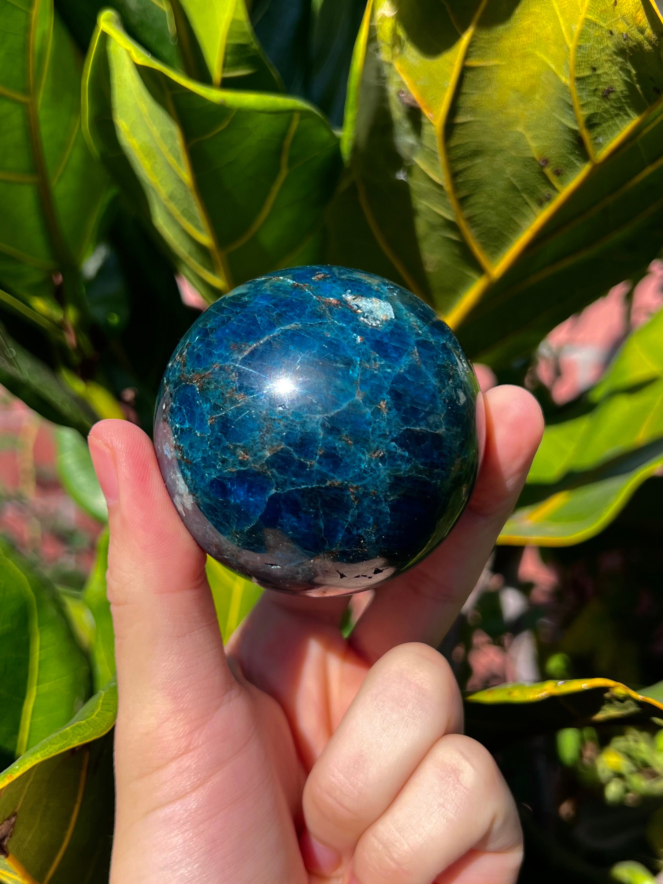 HQ Turquoise Blue Apatite Spheres 0.43-1.1lbs - Etsy