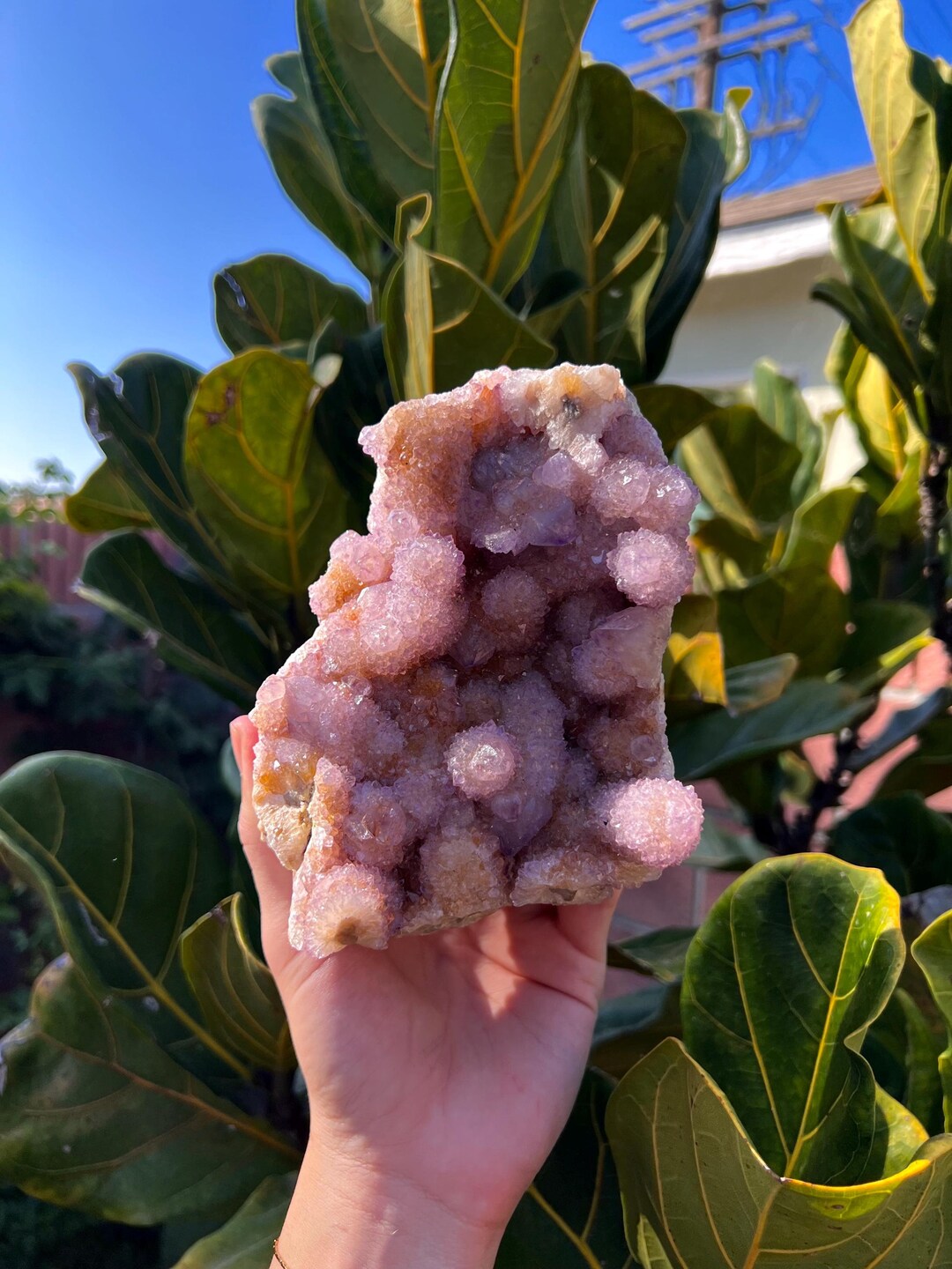 Spirit Quartz Specimen W/ 2nd Gen Growth - Elestial & Record Keeper ...
