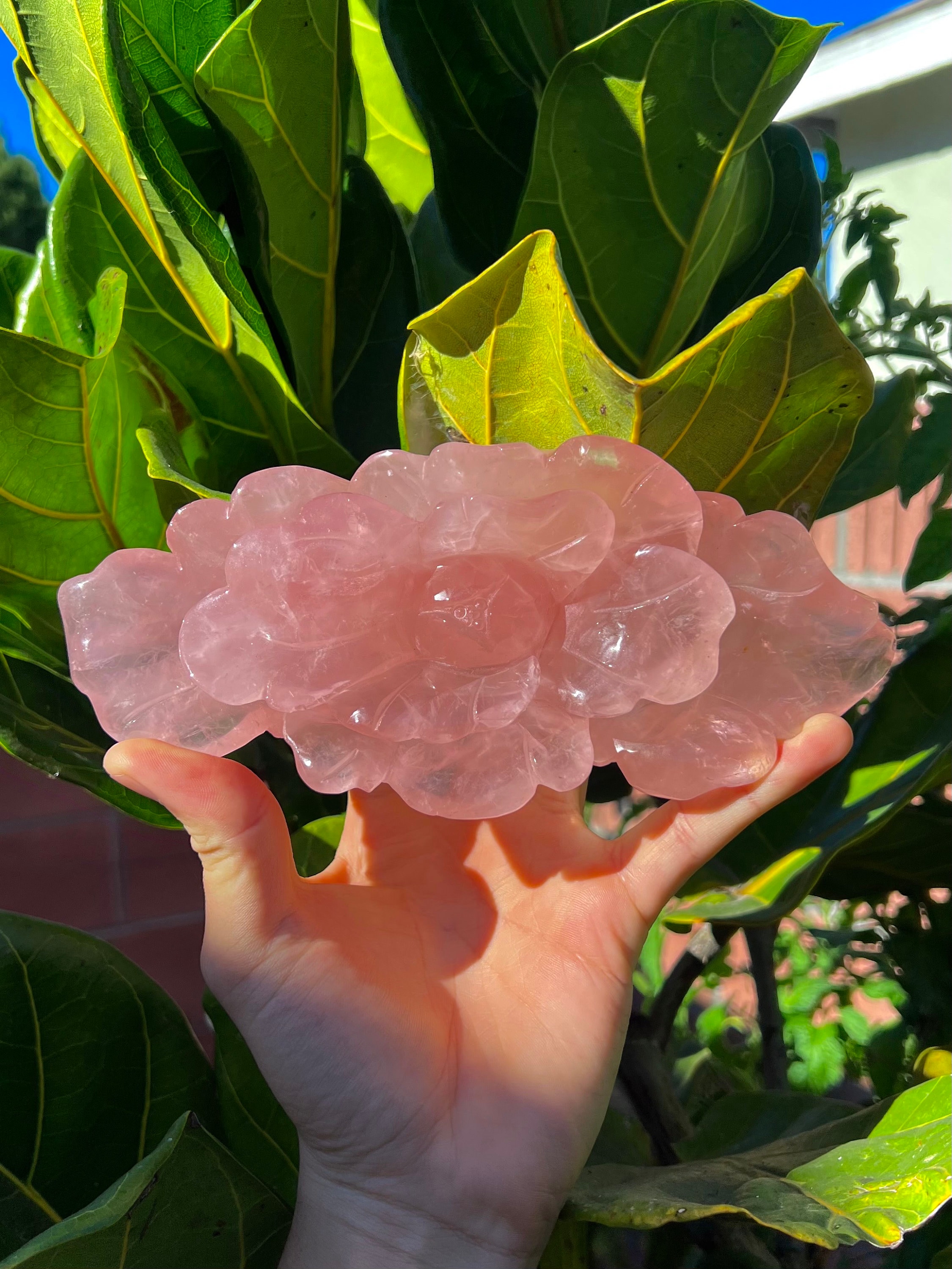 HQ Gem Ruby Star Rose Quartz Flower Carvings 0.6-2lbs - Etsy