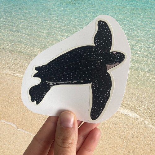 Sea Turtle Decal Turtle Sticker for Car Phone Laptop - Etsy