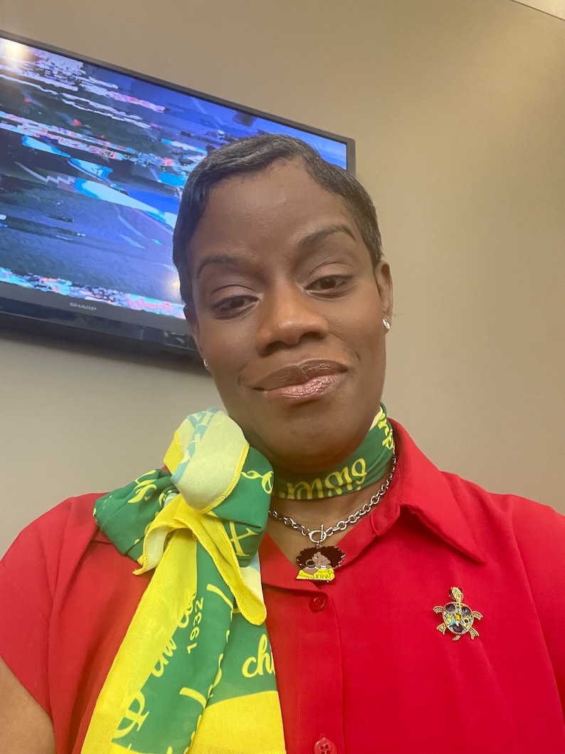 Large Chi Eta Phi Chiffon Lightweight Scarf - Etsy