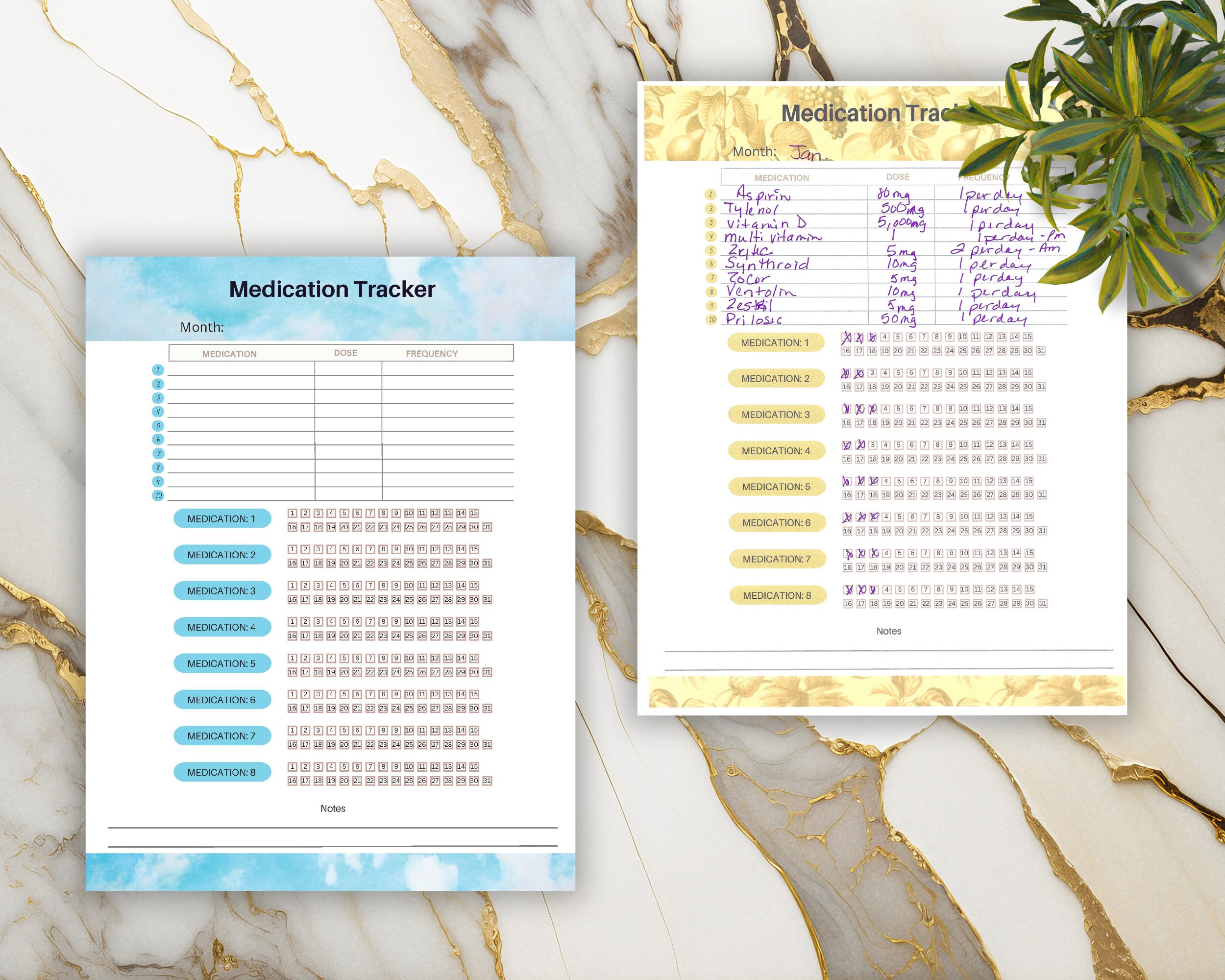 Monthly Medication Tracker, Printable Medication Tracker, Blue Sky ...