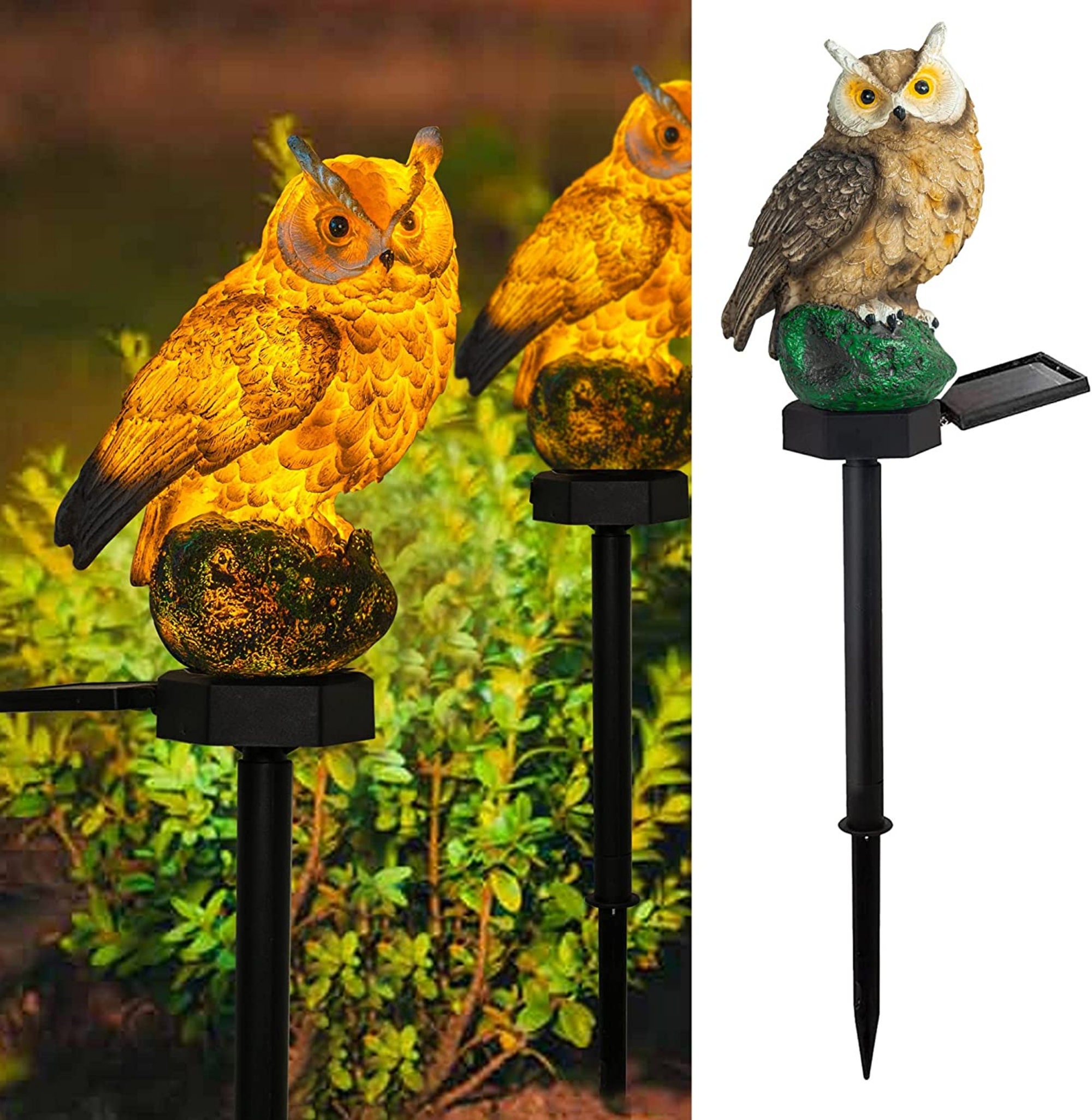 Smart Solar Bright Eyed Owl Clipart