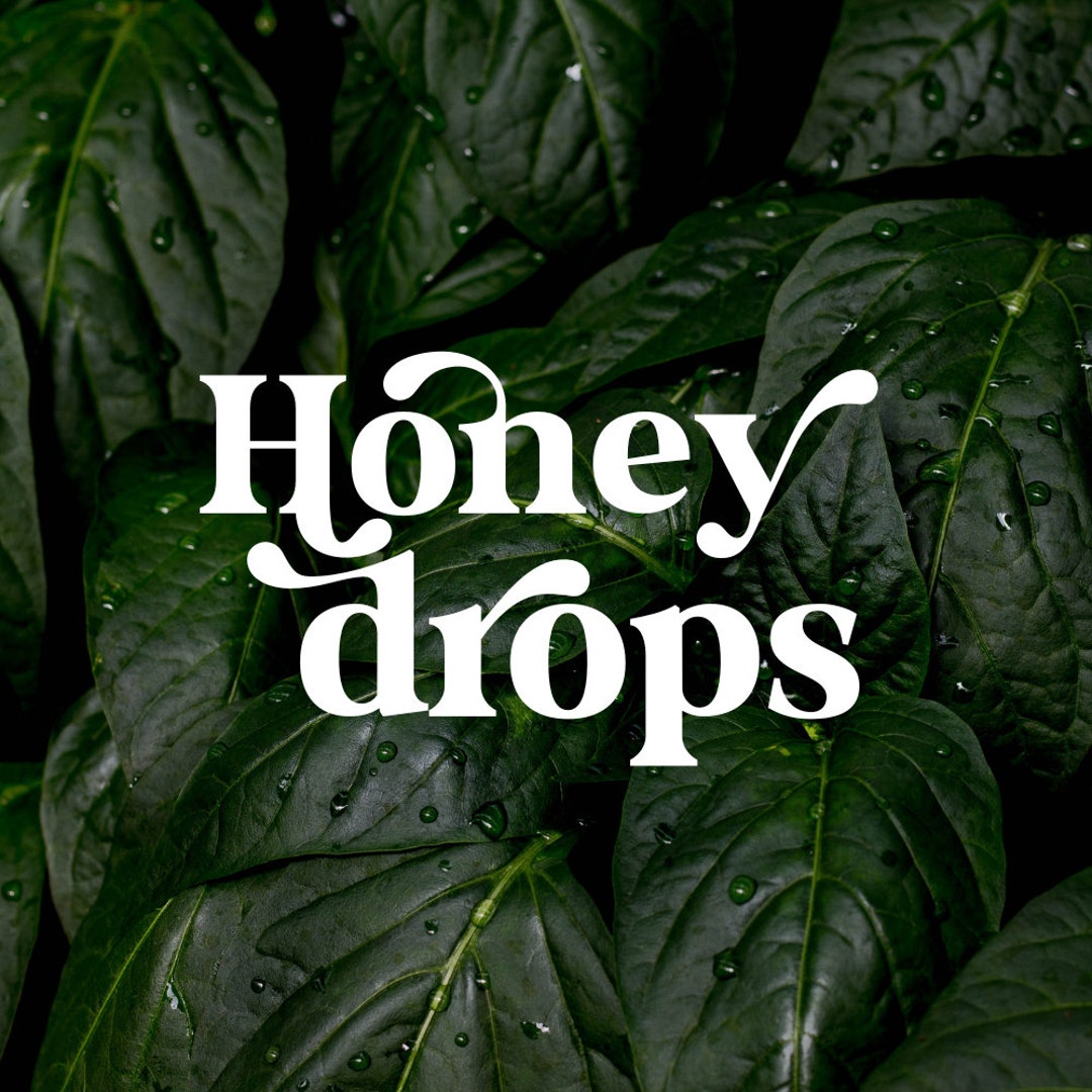 Honey Drops - Serif Font, Modern Font, Boho Font, Branding Font, Swash Font, Fonts for Cricut ...
