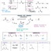Organic Chemistry Notes: Diels Alder - Etsy