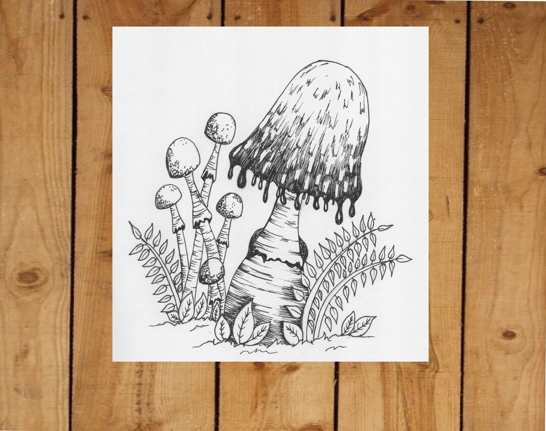 Inkcap Mushroom Coloring Page Fungi Fungus - Etsy