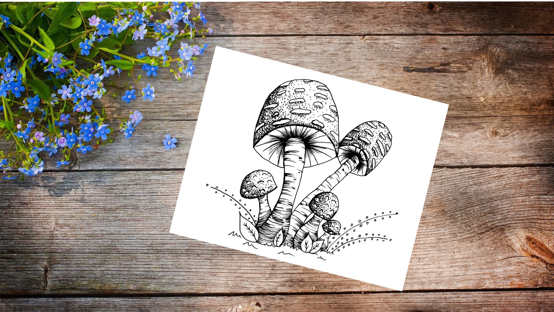 Group of Mushrooms Coloring Page Fungi Fungus - Etsy