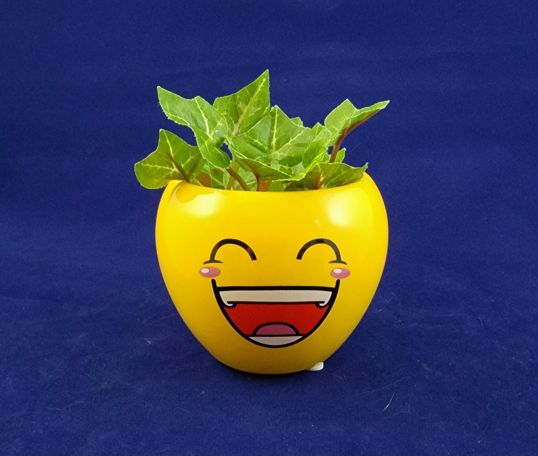 Smiley Face Planter Small Ceramic Porcelain - Etsy