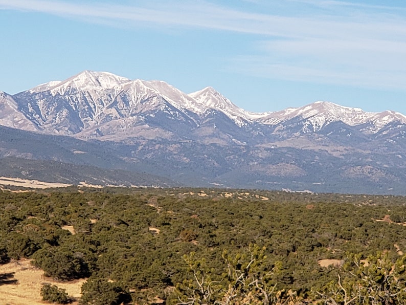 Piñon Pine Sap Resin Pitch Pinyon Pinon Pinion Rosin Trementina ...