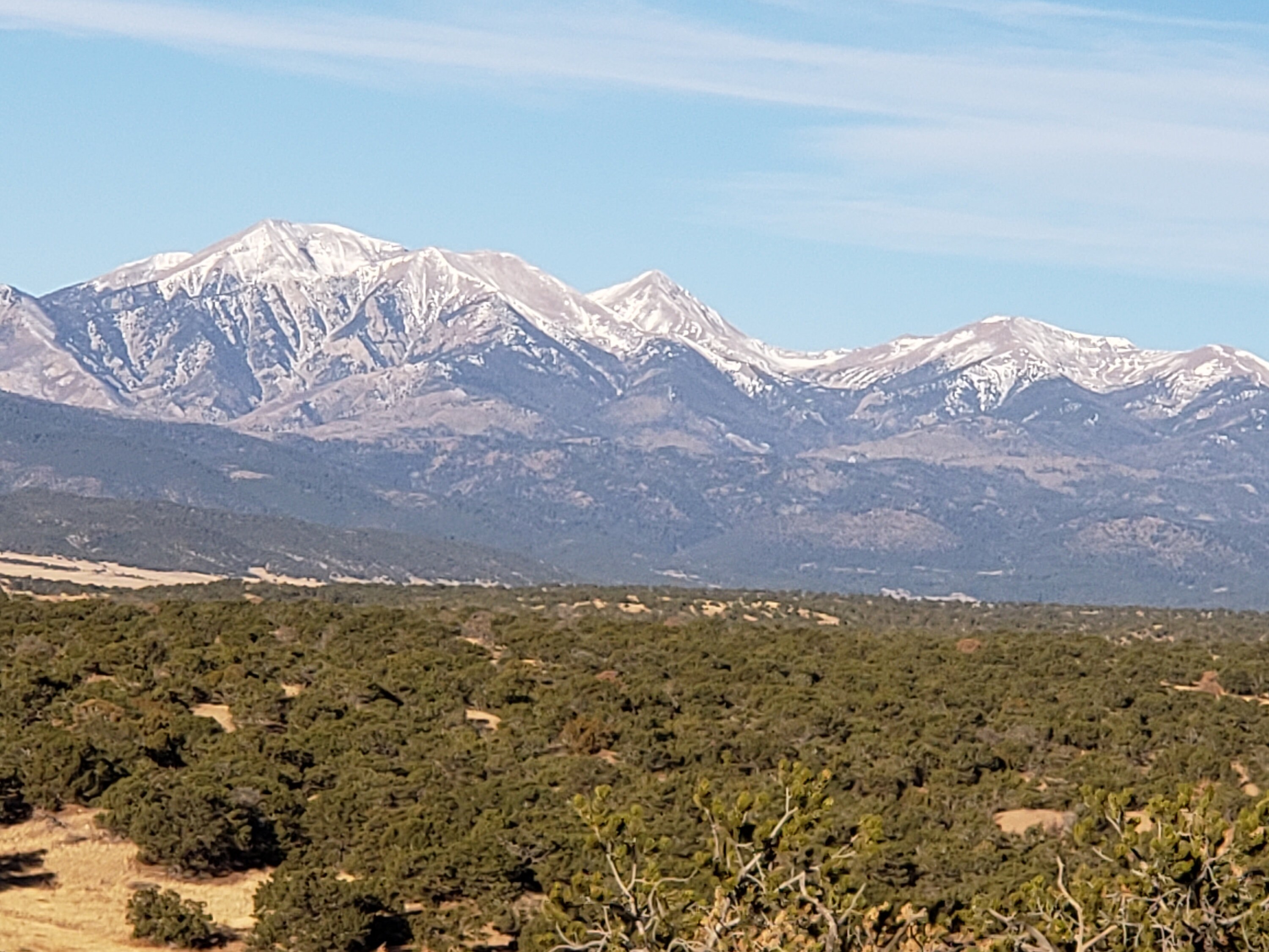 Piñon Pine Sap Resin Pitch Pinyon Pinon Pinion Rosin Trementina ...