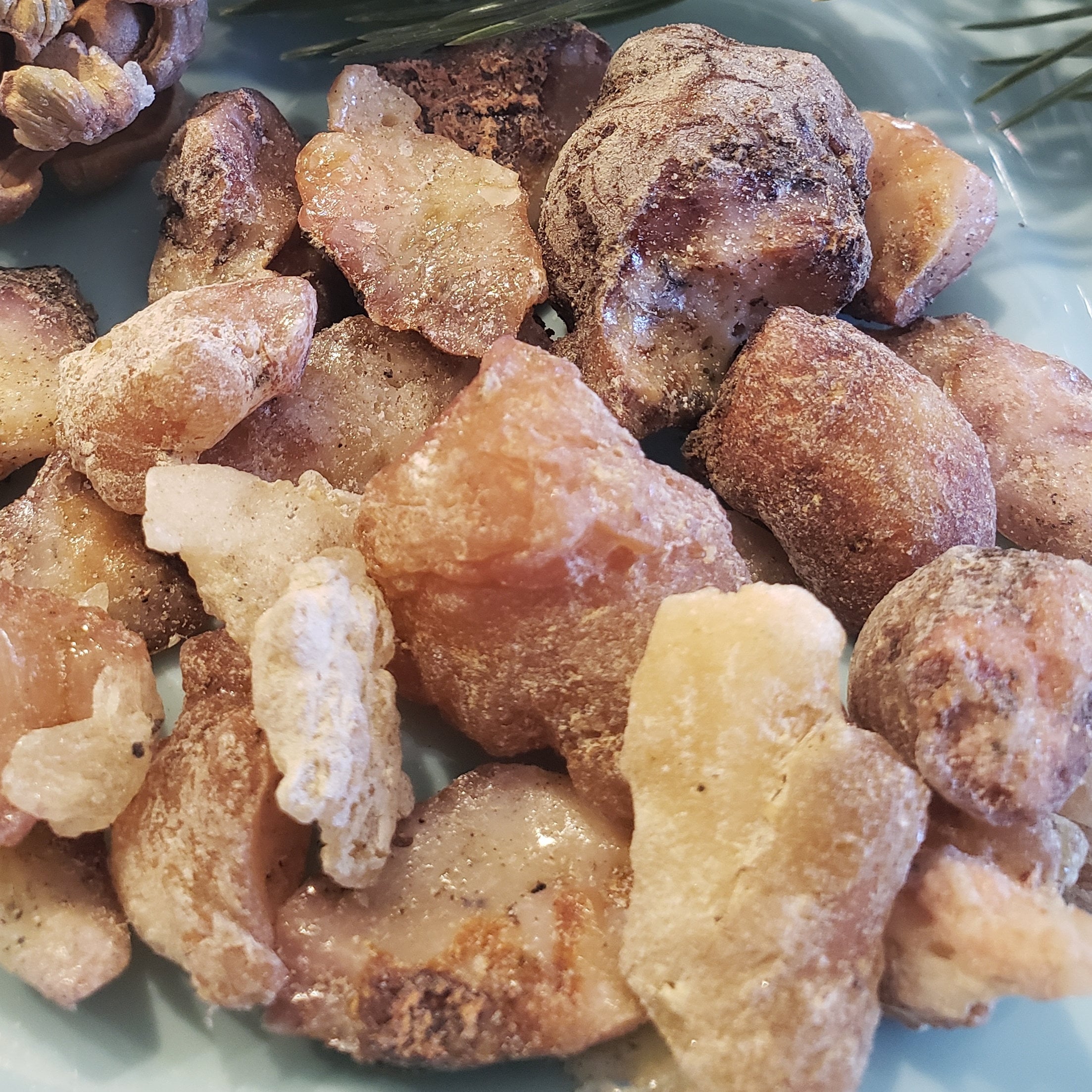 Piñon Pine Sap Resin Pitch Pinyon Pinon Pinion Rosin Trementina ...