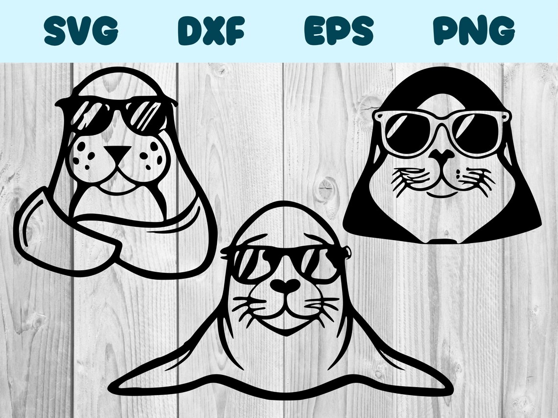 Seal Wearing Sunglasses Svg Seal Png Seal Clipart Seal Vector - Etsy