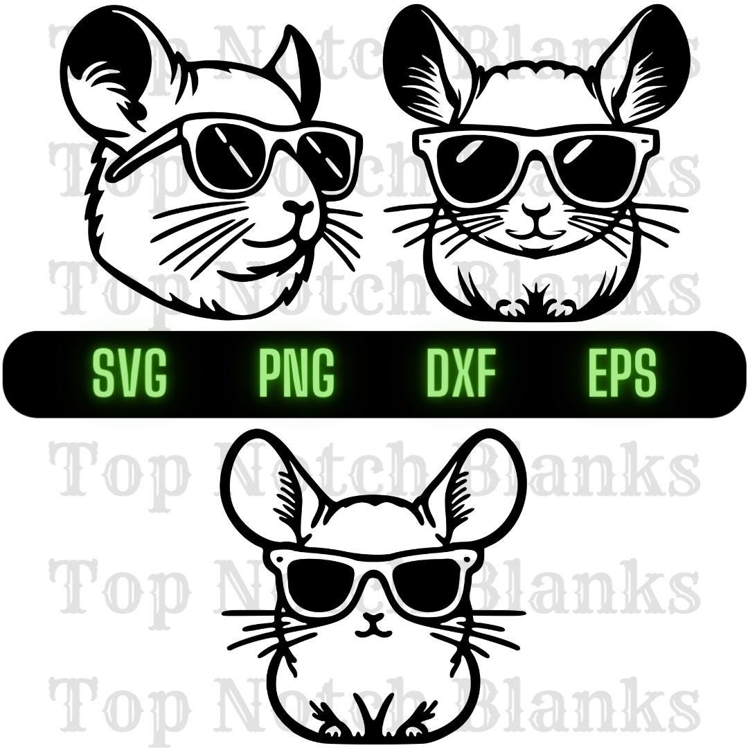 Chinchilla Wearing Sunglasses Svg Chinchilla With Glasses Png ...