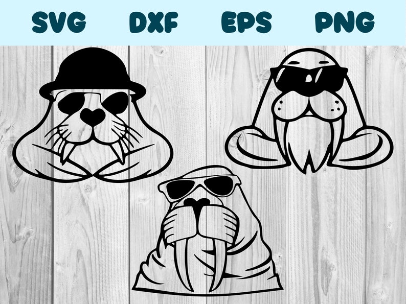 Walrus With Glasses Svg Walrus Wearing Sunglasses Png Walrus - Etsy