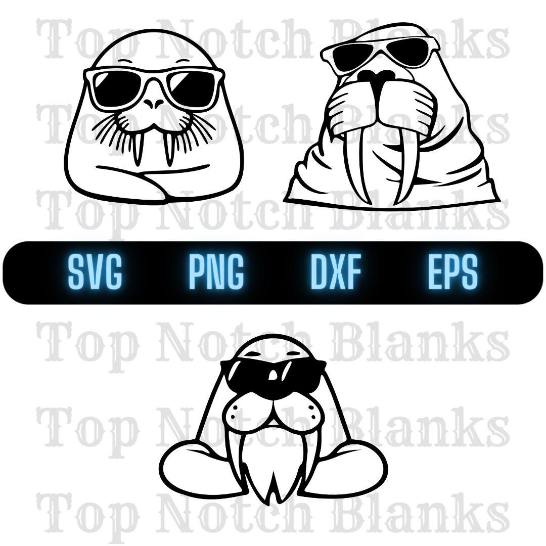 Walrus With Glasses Svg Walrus Wearing Sunglasses Png Walrus With Glasses Clipart Walrus Vector ...