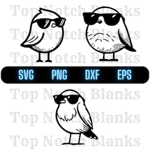 Robin Wearing Sunglasses Svg Robin With Sunglasses Png Robin Clipart ...