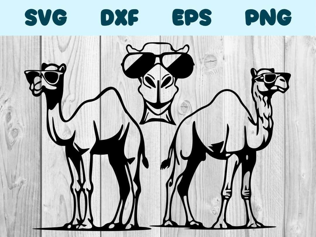 Camel With Glasses Svg Camel Wearing Sunglasses Png Camel With Glasses ...