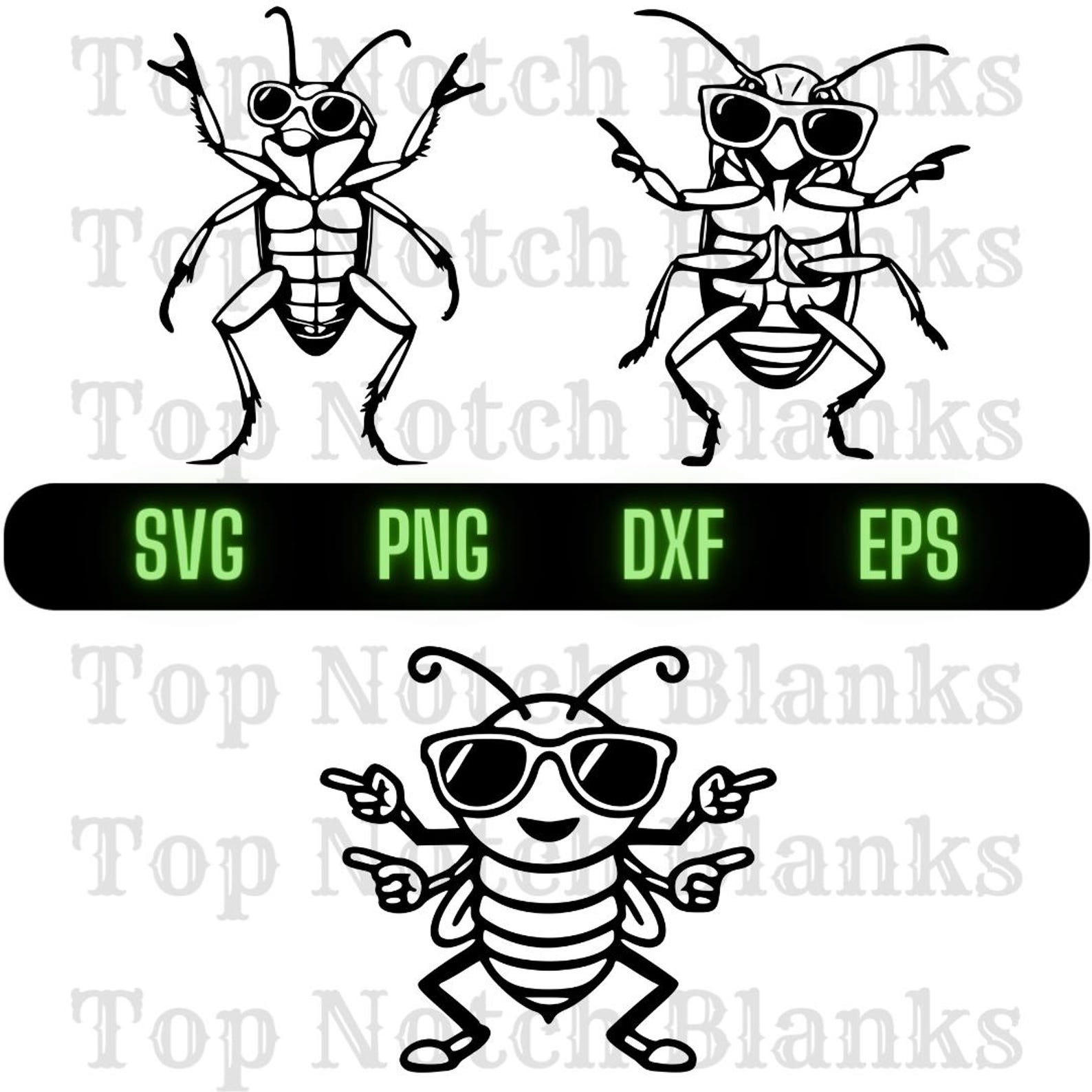 Bug With Sunglasses Svg Bug Wearing Sunglasses Png Bug With Glasses ...