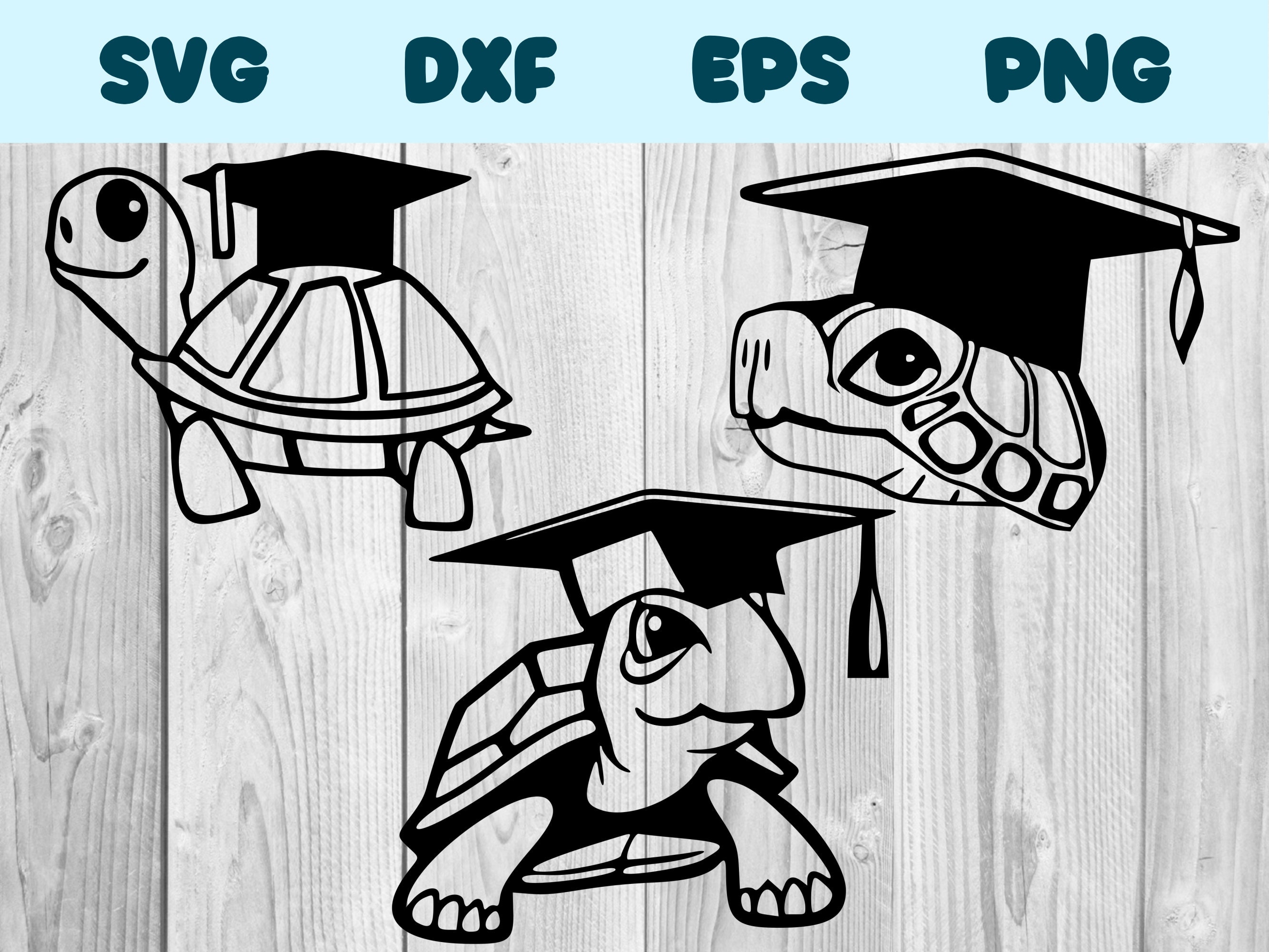 Turtle Wearing A Gradutaion Cap Svg Turtle With A Graduation - Etsy