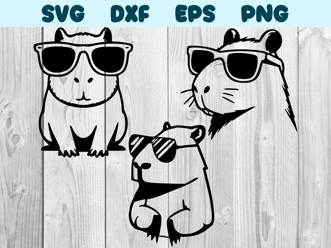 Capybara Wearing Sunglasses Svg Capybara With Glasses Png Capybara ...