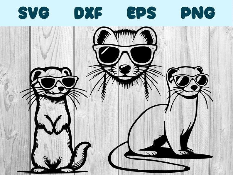 Weasel With Sunglasses Svg Weasel Wearing Glasses Png Weasel - Etsy