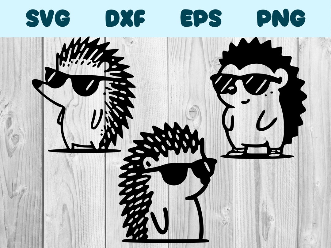 Hedgehog Wearing Sunglasses Svg Hedgehog With Glasses Png Cool Hedgehog ...