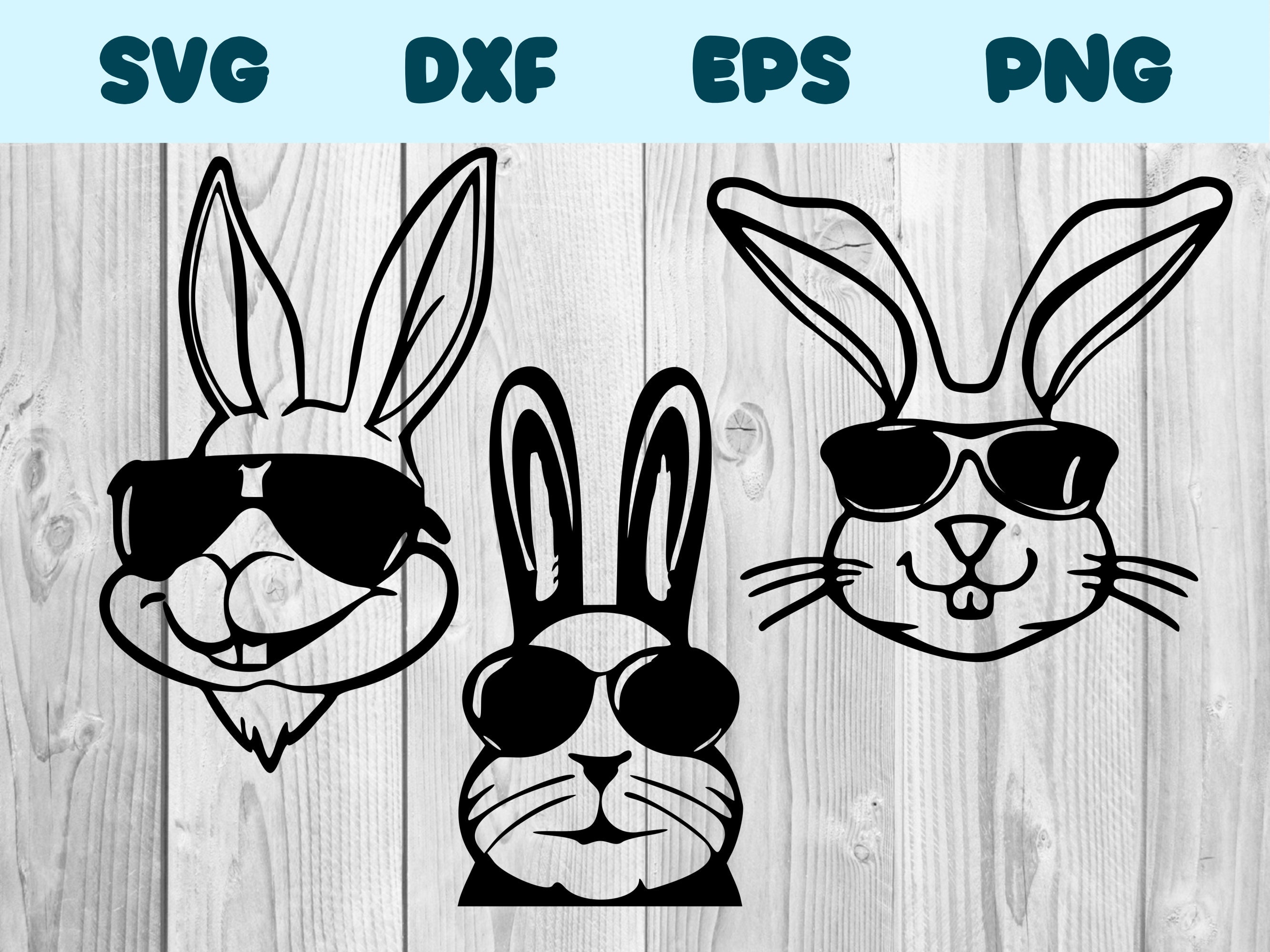 Rabbit With Glasses Svg Rabbit Wearing Sunglasses Png Rabbit - Etsy