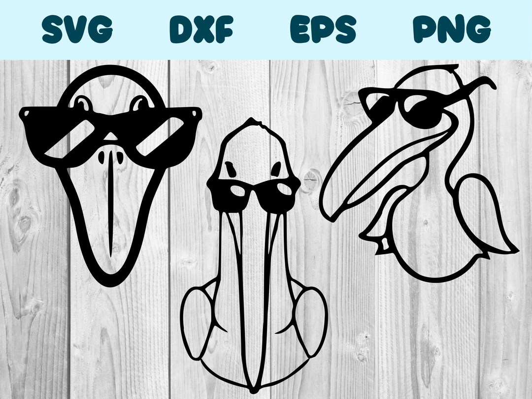 Pelican Wearing Sunglasses Svg Pelican Wearing Sunglasses Png Pelican ...