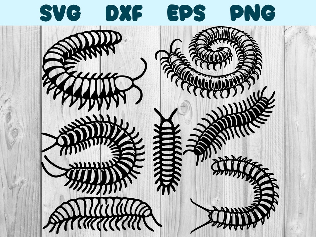 Centipede Svg Centipede Png Cool Centipede Clipart Centipede Vector ...