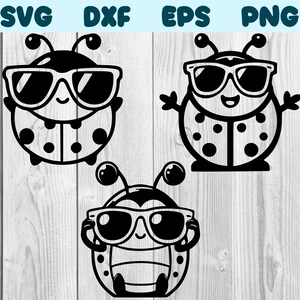Ladybug With Glasses Svg Ladybug With Glasses Png Ladybug With Glasses ...