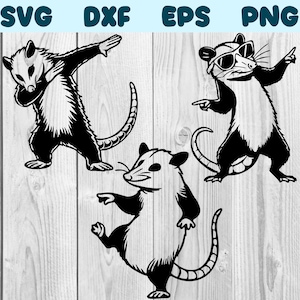 Opossum Dancing With Glasses Svg Opossum Dance Png Dancing Opossum ...