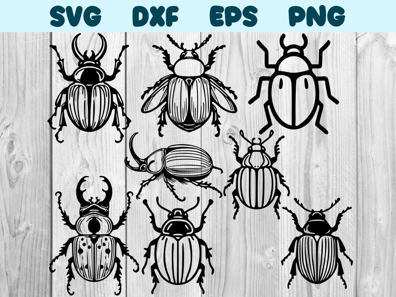 Beetle Svg Beetle Png Cool Beetle Clipart Beetle Vector Bundle Pack ...
