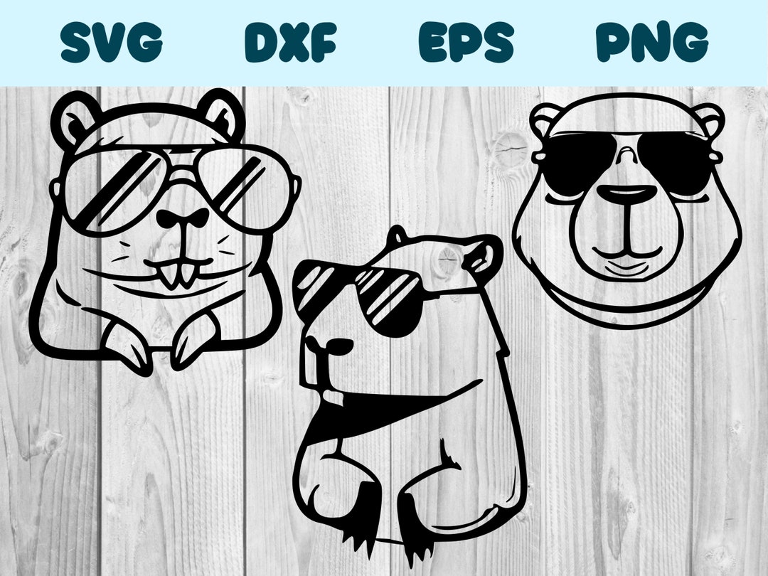 Capybara Wearing Sunglasses Svg Capybara With Glasses Png Capybara ...