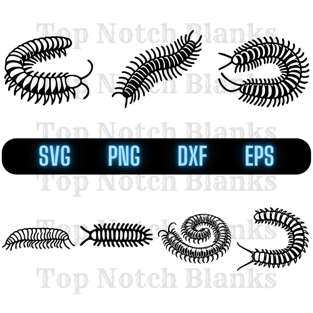Centipede Svg Centipede Png Cool Centipede Clipart Centipede Vector ...