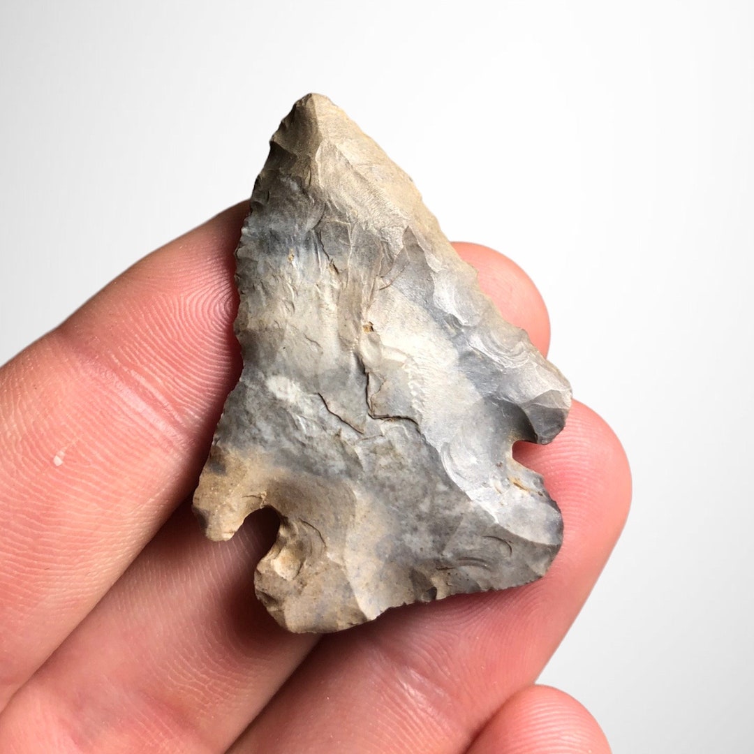 A Fine Multi-colored Pinetree Arrowhead Out of Kentucky. - Etsy