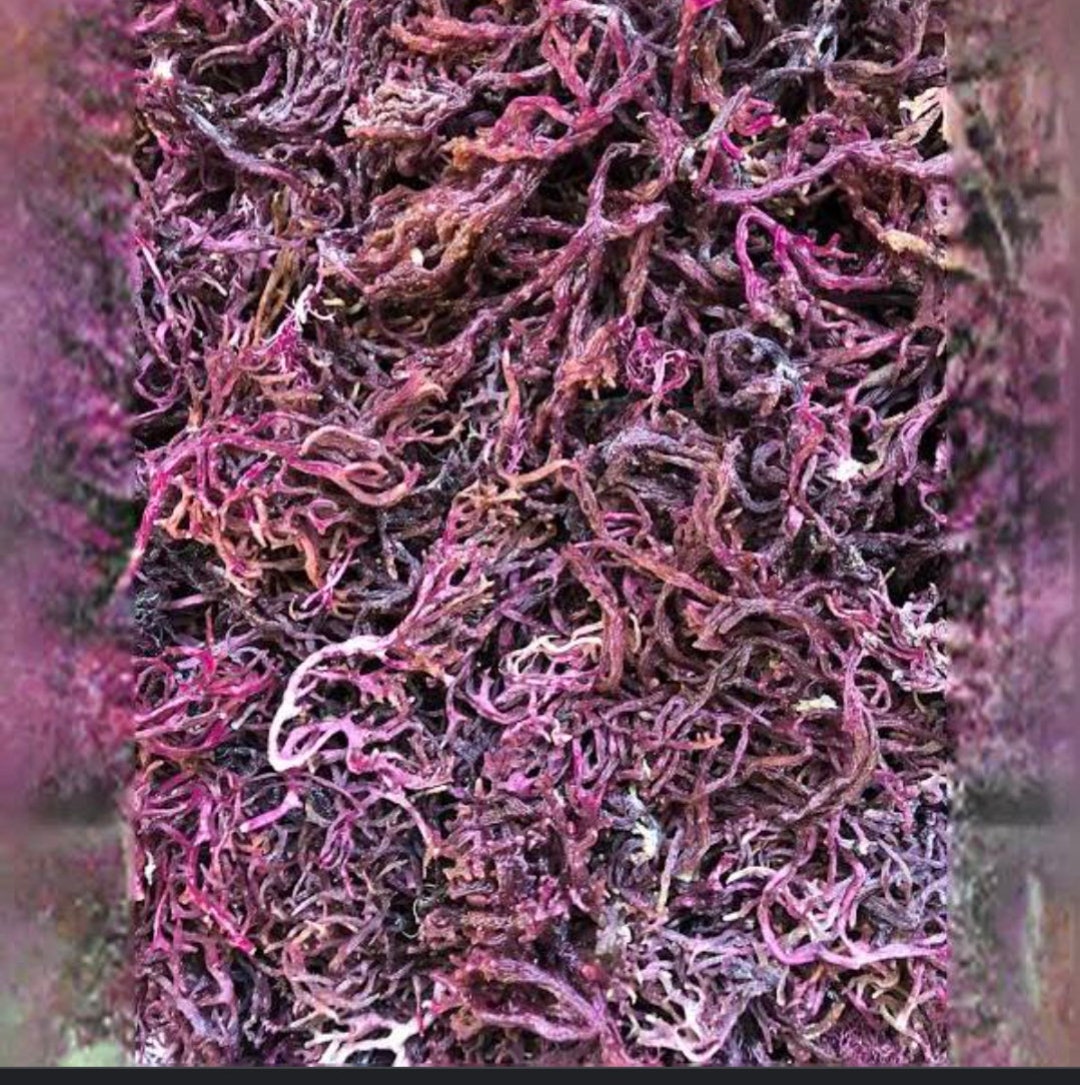 Purple Sea Moss – Wildcrafted From St. Lucia | Raw, Sun-dried Irish Moss | Dried Seamoss for Gel ...