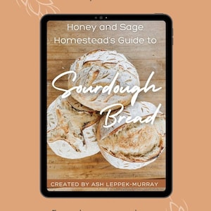 Sourdough Guide Ebook - Etsy
