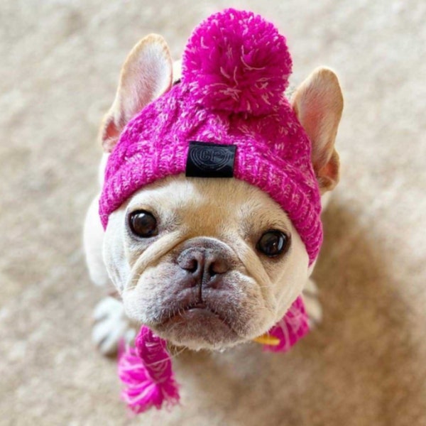 Dog Winter Hat - Etsy