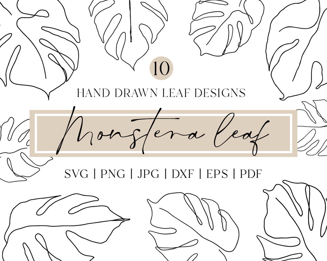 10 Monstera SVG Line Art Leaves Monstera Deliciosa Albo Tropical Leaf ...