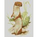 Cross Stitch Chart, Pattern, Weasel, Wildlife, Stoat, Polecat, Mink - Etsy