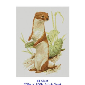 Cross Stitch Chart, Pattern, Weasel, Wildlife, Stoat, Polecat, Mink - Etsy