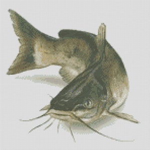 Cross Stitch Chart, Pattern, Catfish, Fish, Fishing, Coarse, River - Etsy