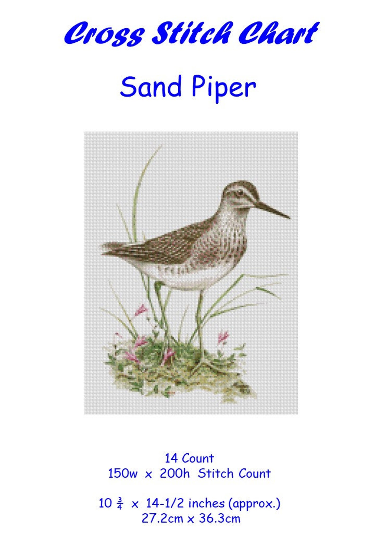 Cross Stitch Chart, Pattern, Sandpiper, Bird, Wild, Sea, Wader - Etsy