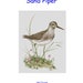Cross Stitch Chart, Pattern, Sandpiper, Bird, Wild, Sea, Wader - Etsy