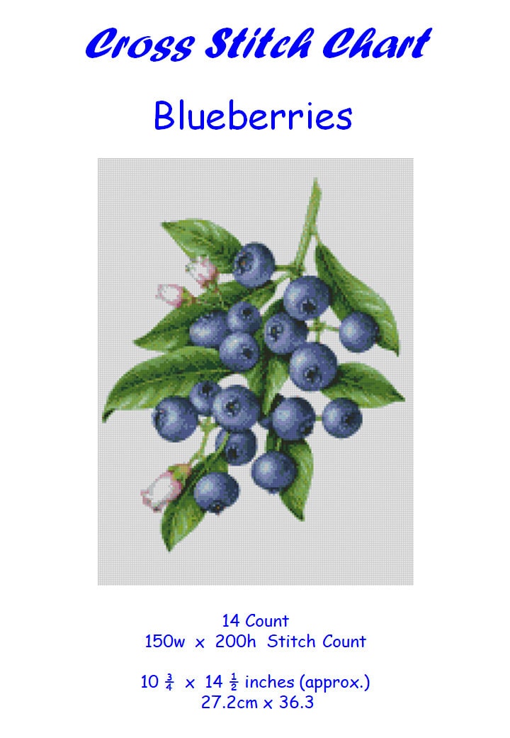Cross Stitch Chart, Pattern, Blueberry, Fruit, Summer, Blueberries - Etsy