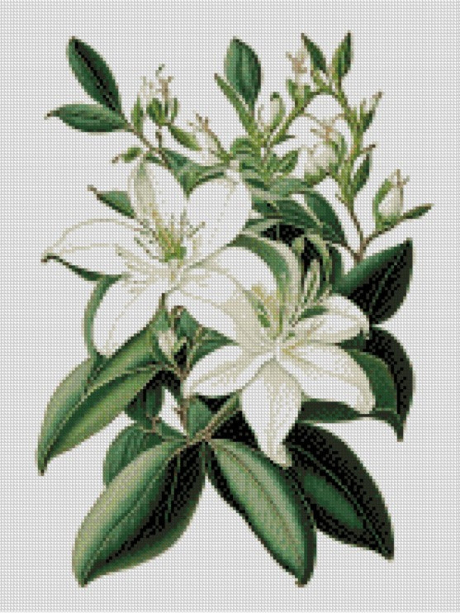 Cross Stitch Chart, Pattern, Jasmine, Garden, Shrub, Bush, Plant ...