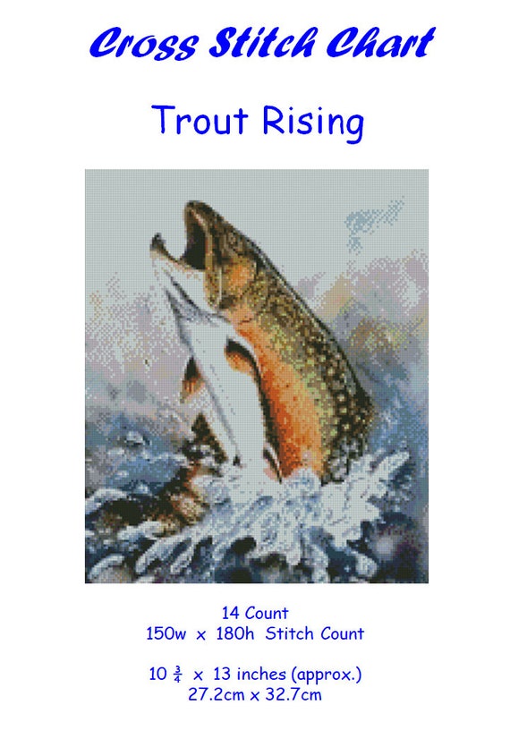 Cutthroat Trout Rise