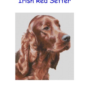 Cross Stitch Chart, Pattern, Red, Setter, Irish, Canine, Dog, Canine ...